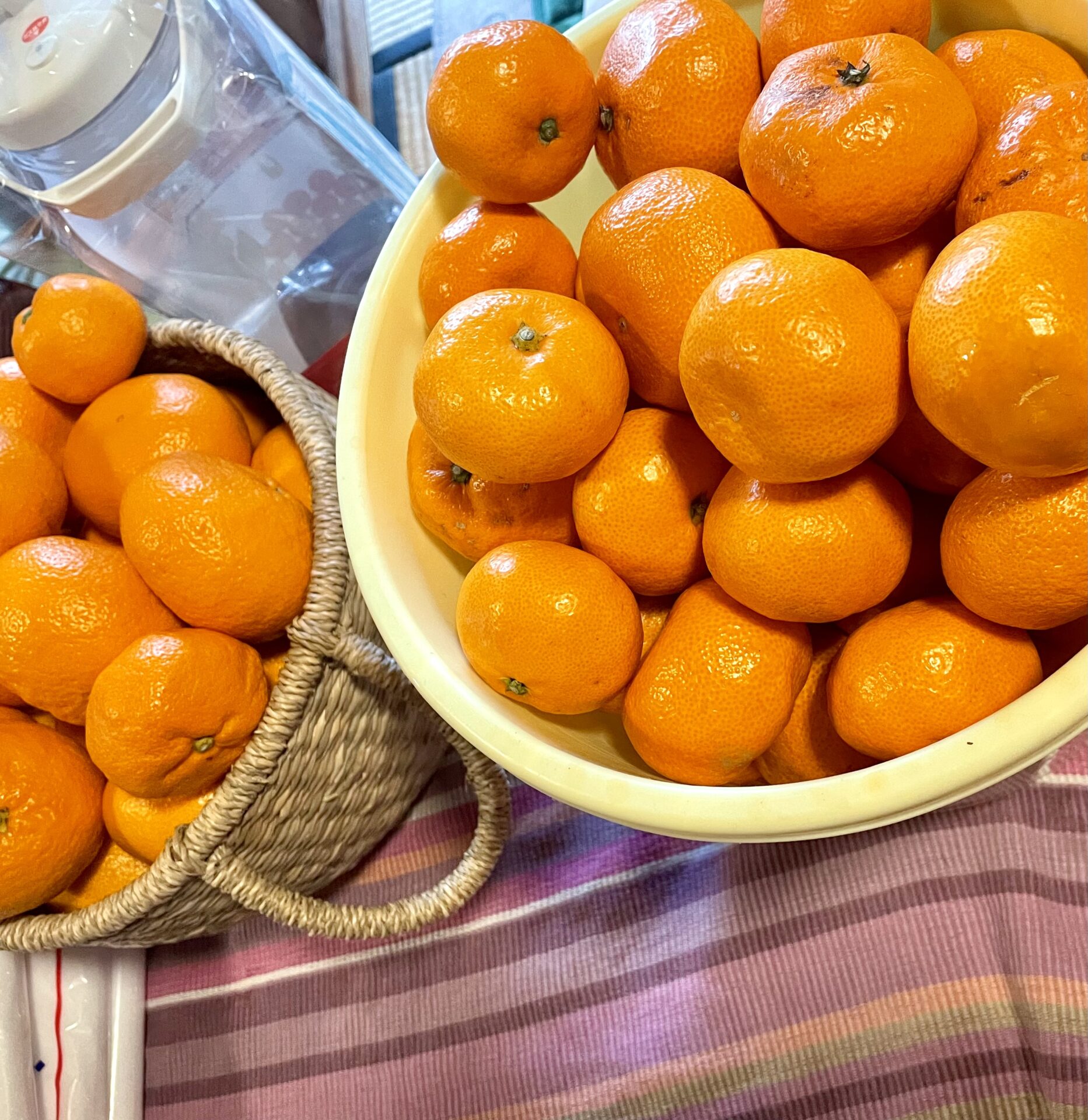 みかんのミネラル酵素ドリンク作り | Chizuki-fasting