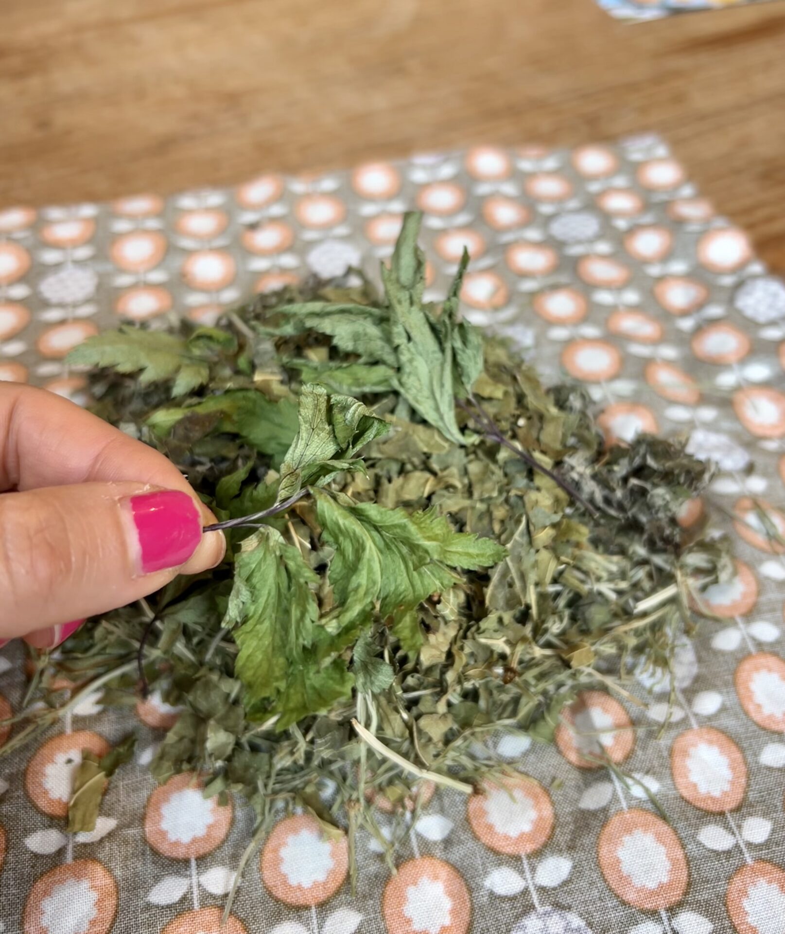 ハーブボール作りワークショップ〜季節の変わり目の不調に〜 | Chizuki-fasting